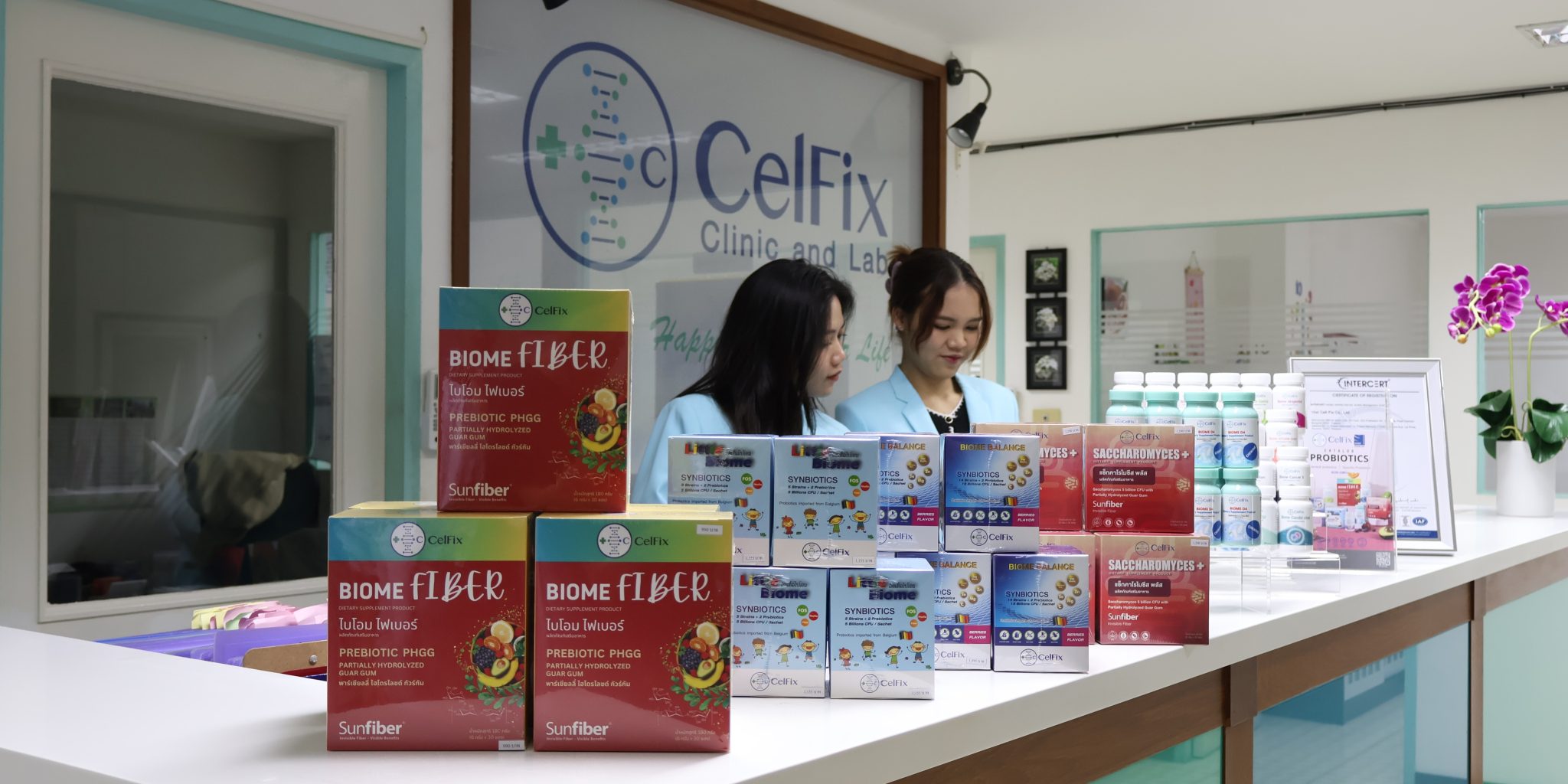 Contact Us – Celfix